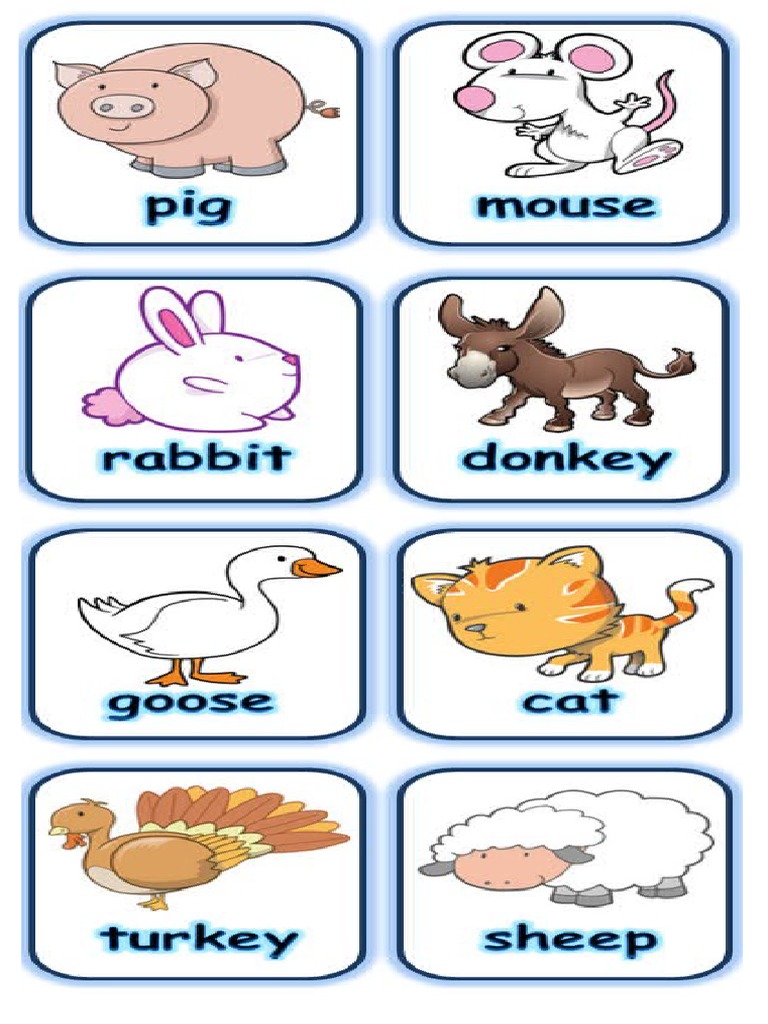 Flashcards Animal Part 2 | PDF