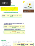 Destarching The Leaf | PDF | Photosynthesis | Leaf