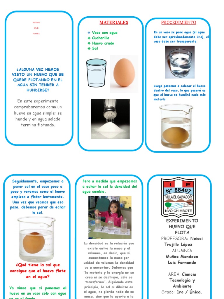 El Huevo-Flota | PDF