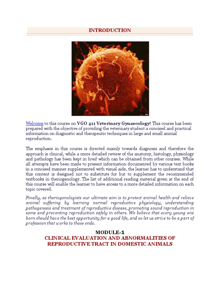 Veterinary Gynaecology Notes | PDF