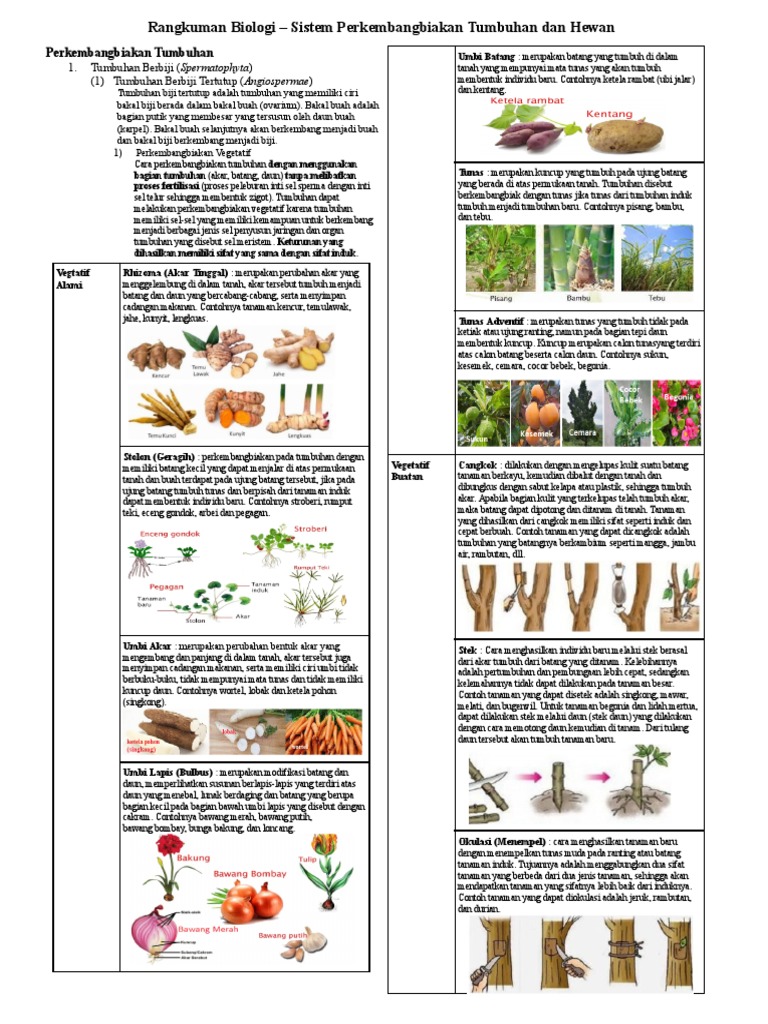 Kelas 9 - Rangkuman Perkembangbiakan Tumbuhan Dan Hewan | PDF | Sains & Matematika