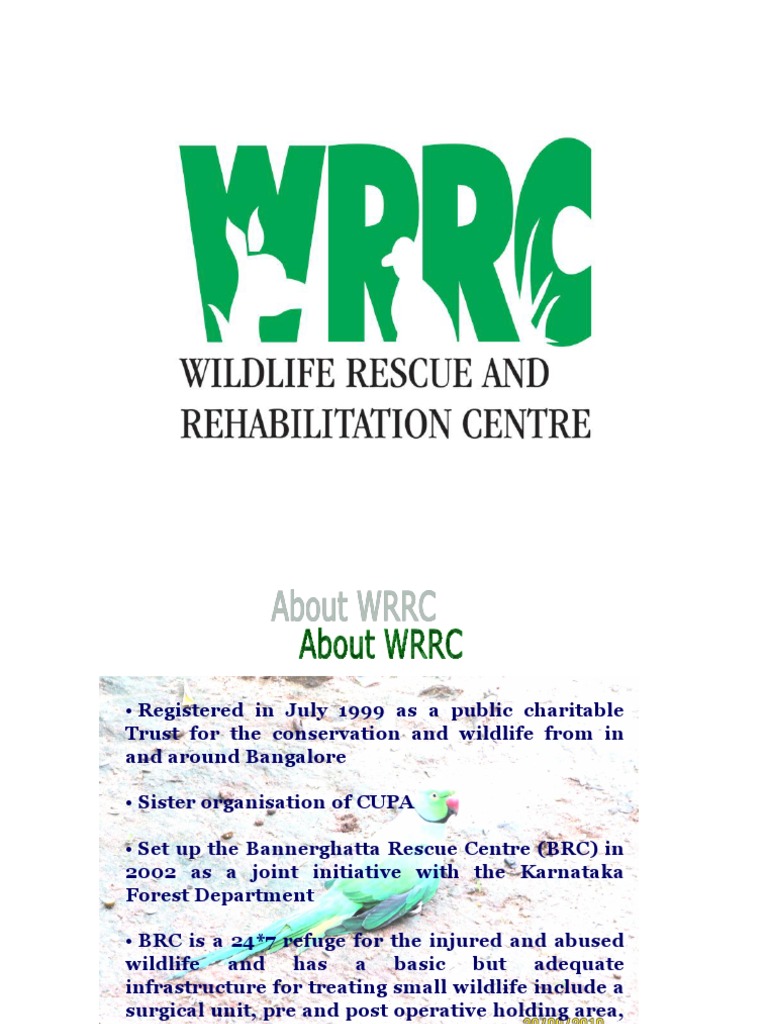 WRRC | PDF | Wildlife | Elephant