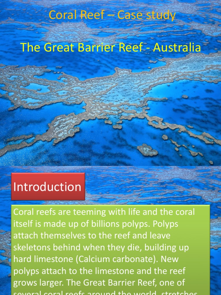 Great Barrier Reef Case Study | PDF | Coral Reef | Coral