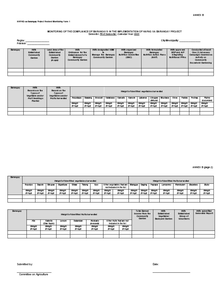 HAPAG ANNEX B For Barangay | PDF