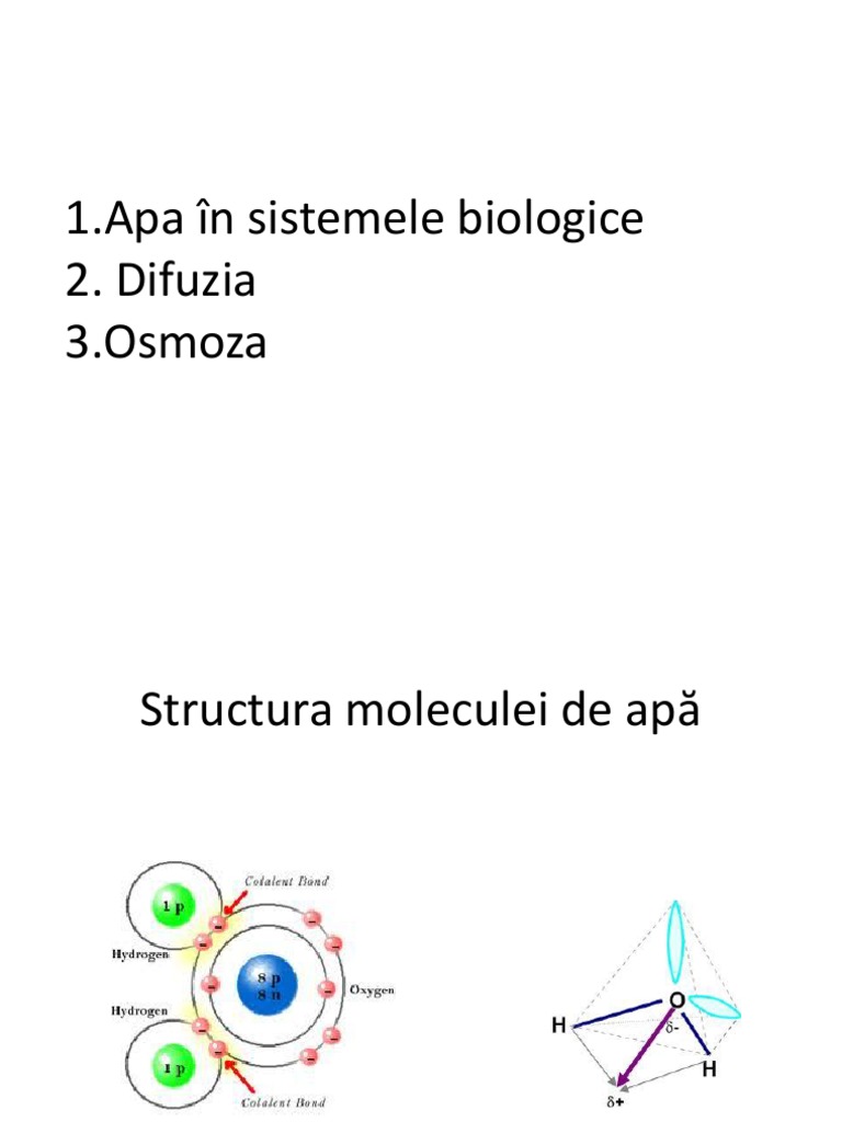 Apa, Difuzia, Osmoza | PDF