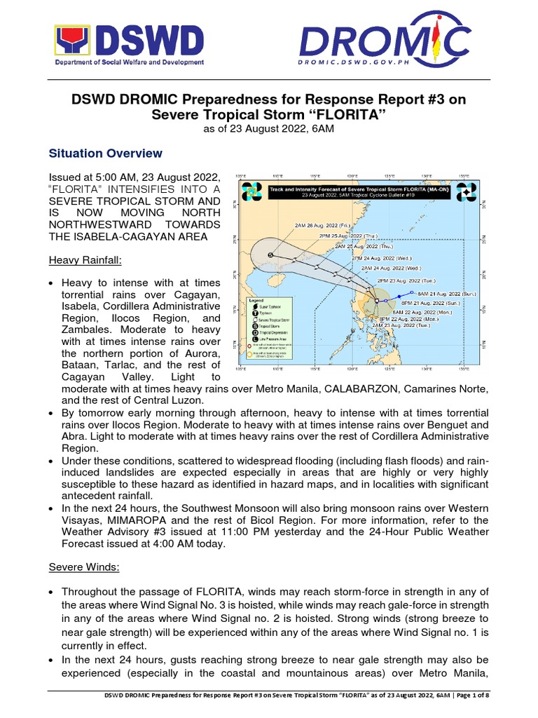 DSWD DROMIC Preparedness For Response Report 3 On Severe Tropical Storm ...