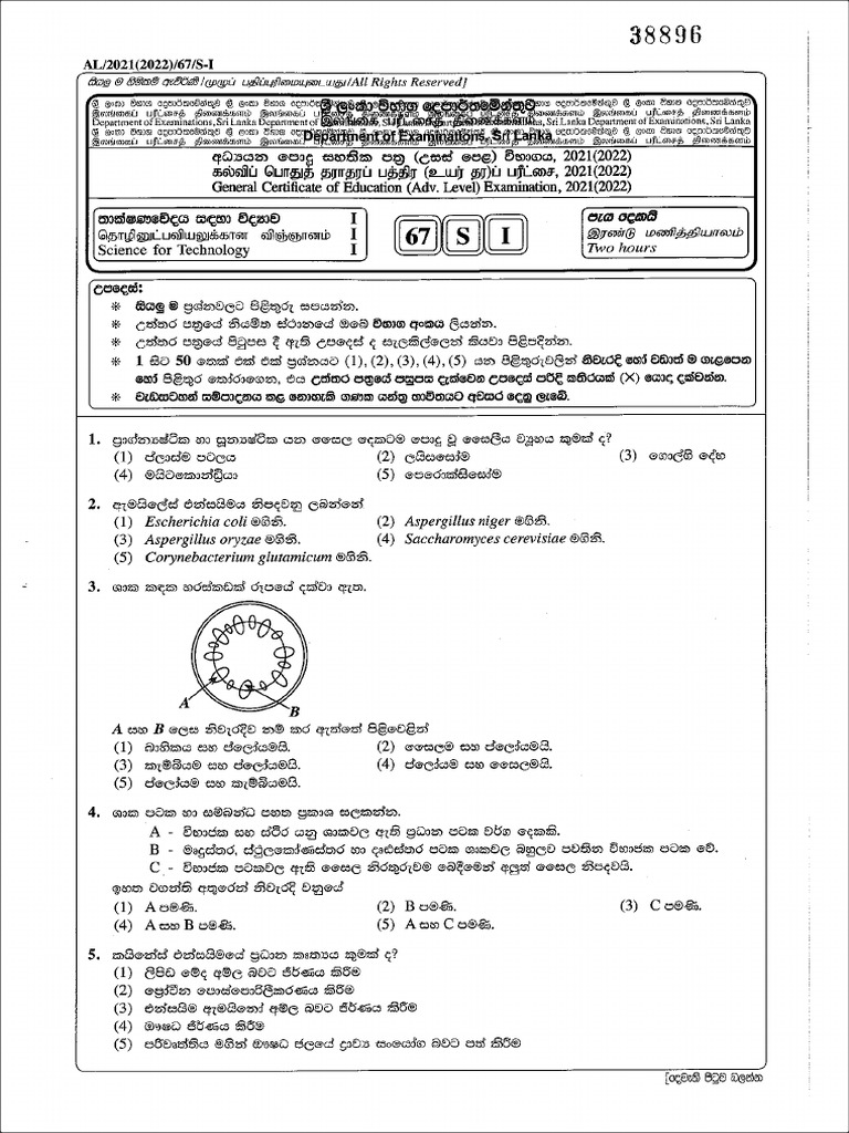 2021 AL SFT Past Paper Sinhala Medium | PDF | Art