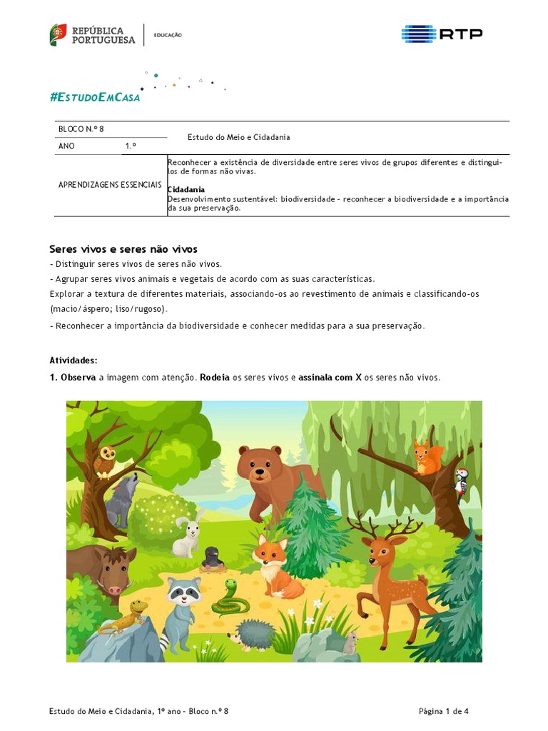 08 Estudo Do Meio 1 º Ano Seres Vivos E Seres Não Vivos Pdf