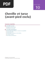 Radioanatomie Cheville-Pied | PDF | Pied | Système squelettique
