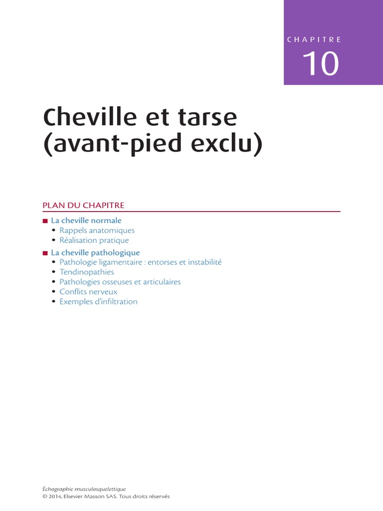 10 Cheville Et Tarse | PDF | Pied | Tissu mou