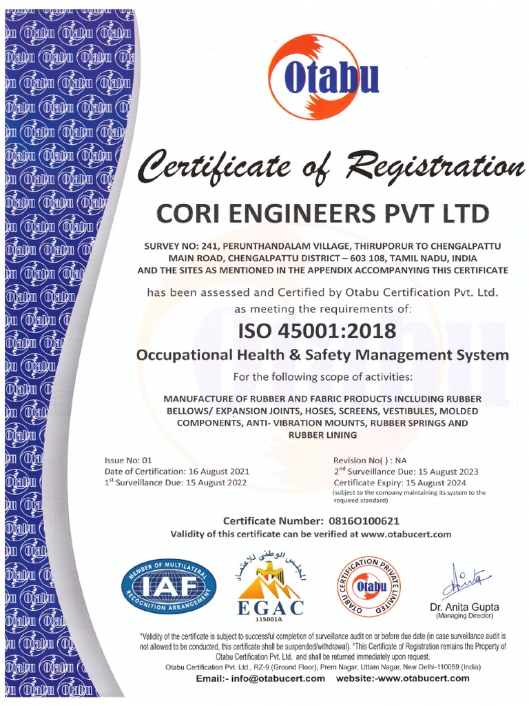 Iso 45001 2018 Ohs | PDF