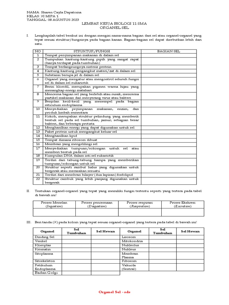 LKPD Organel Sel | PDF