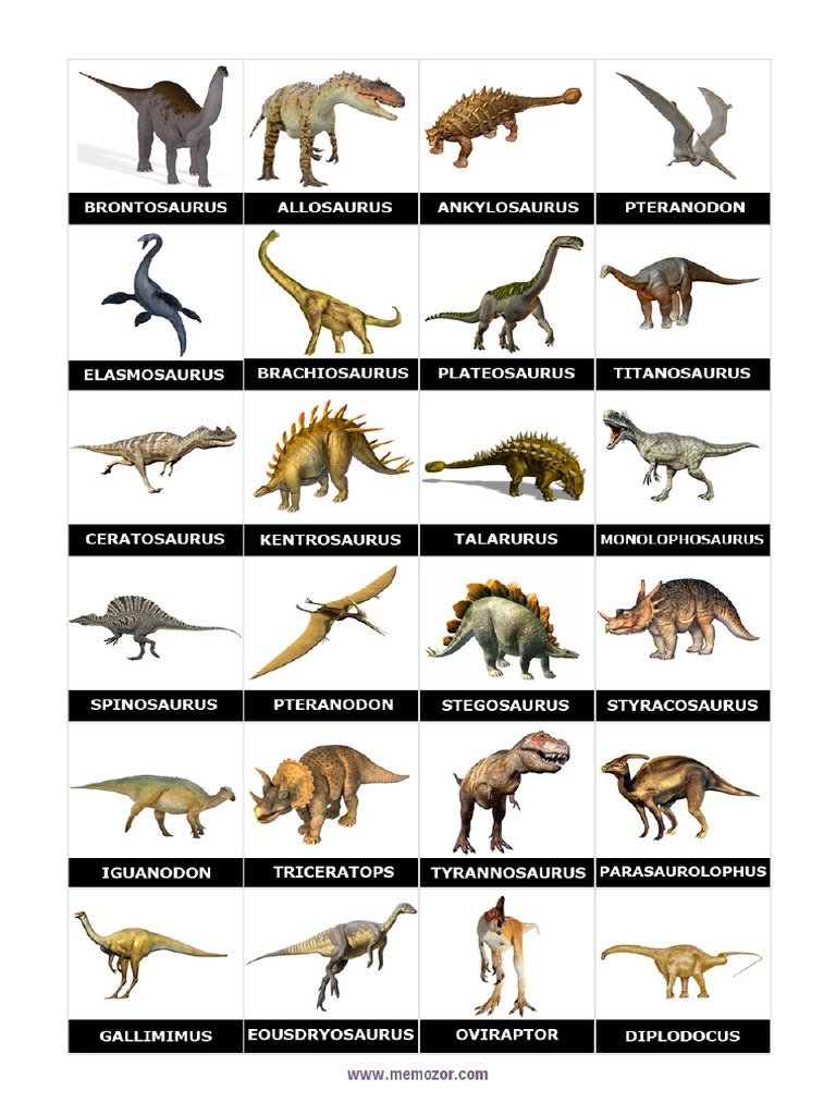 Tipos de Dinosaurios | PDF