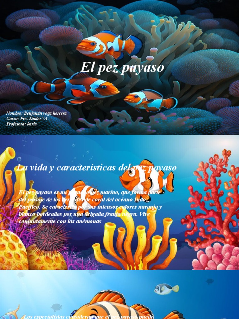 Presentación Pez Payaso Benja | PDF