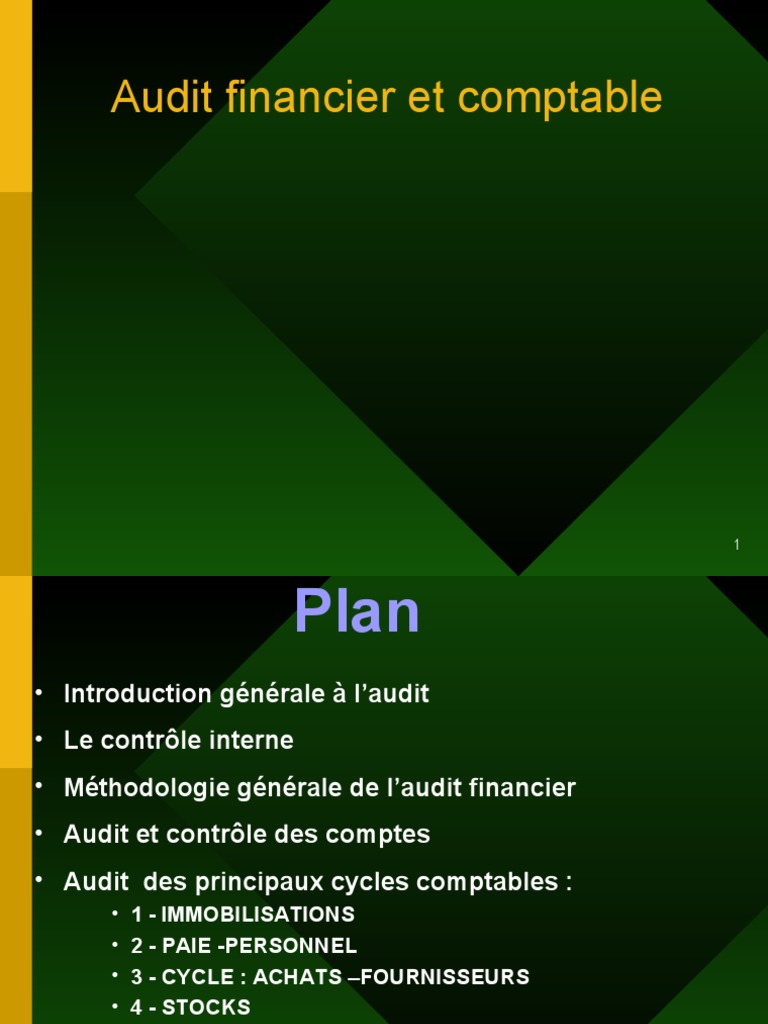Audit Comptable Et Financier | PDF