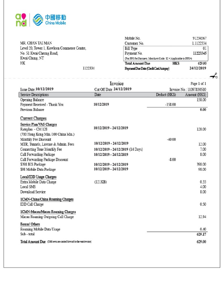 China Mobile Bill TEST | PDF