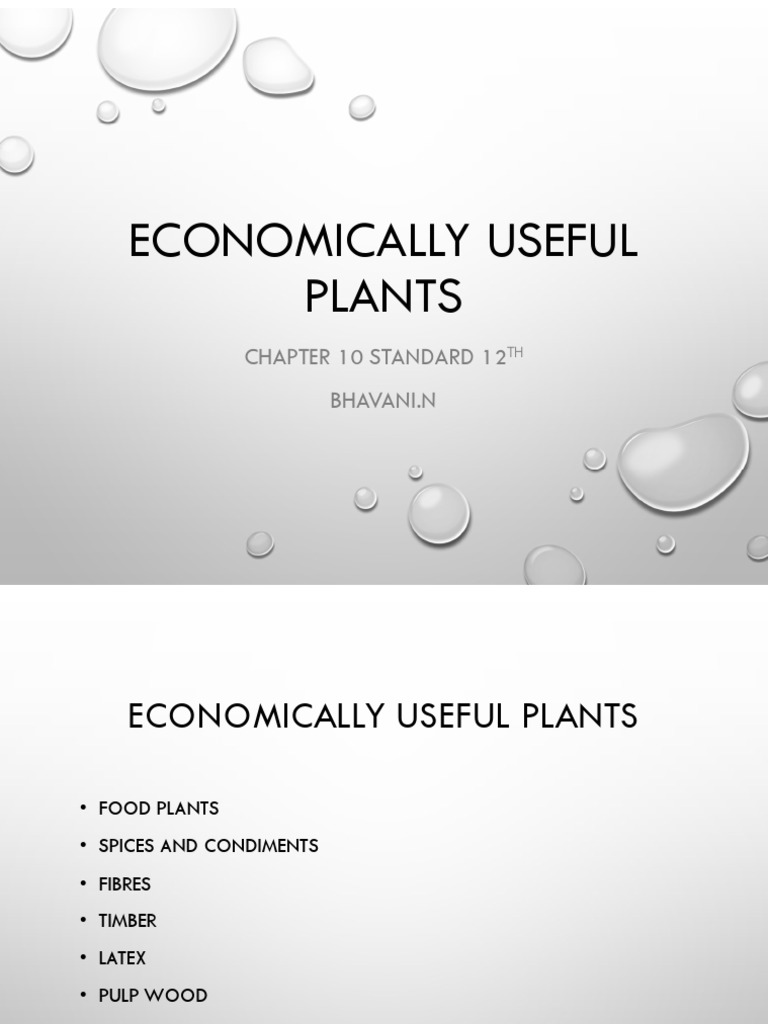 Economically Useful Plants Guide | PDF
