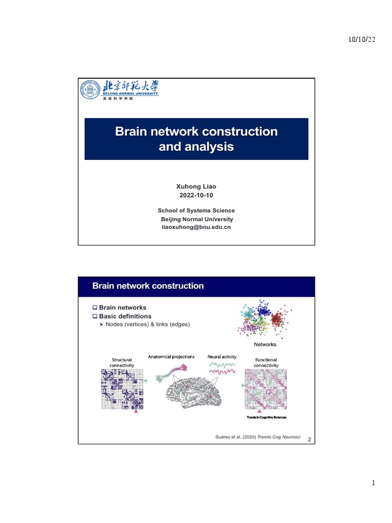 Brain Network Analysis Guide | PDF | Science & Mathematics | Computers