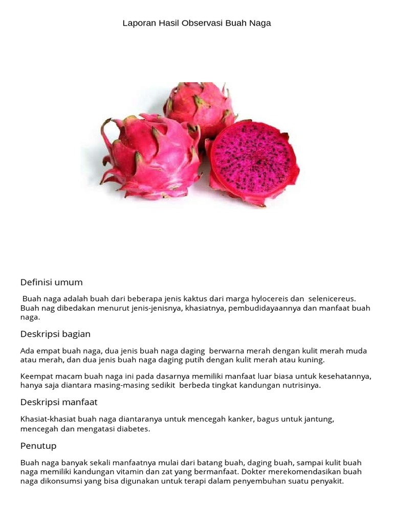 Khasiat dan Jenis Buah Naga | PDF