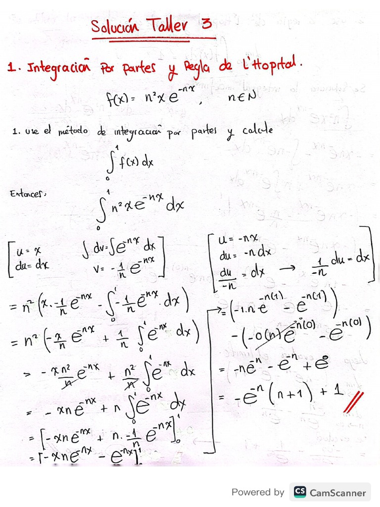 Taller 3 Calculo Integrales | PDF