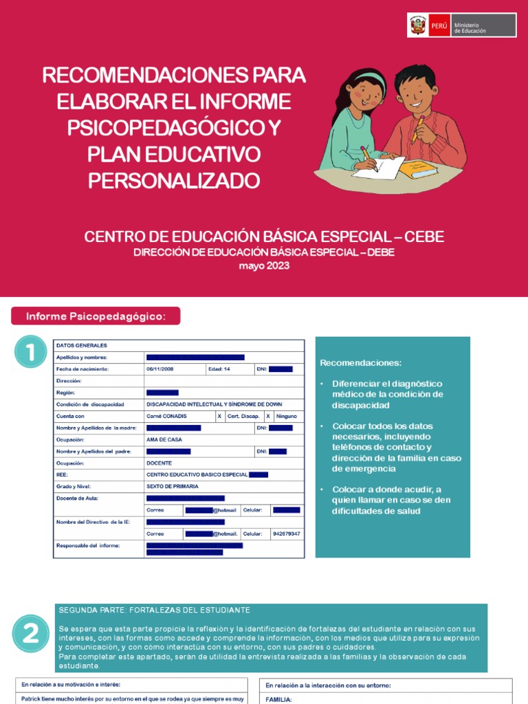 Recomendaciones para Elaborar El Informe Psicopedagógico y Plan ...