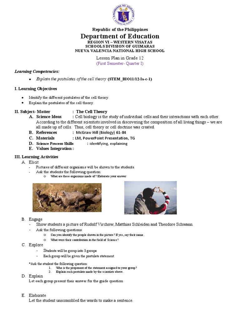 Lesson Plan in Grade 12-STEM 2022 1 | PDF | Theory | Cell (Biology)