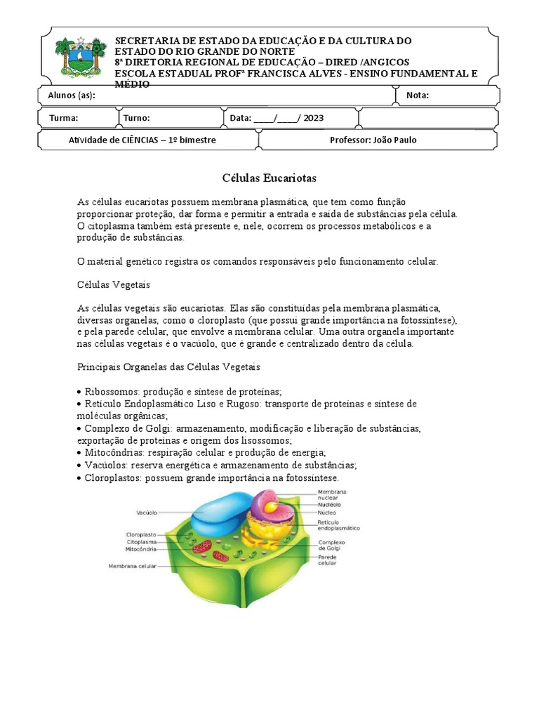 6 Ano Atividade 4 | PDF | Célula (Biologia) | Citoplasma