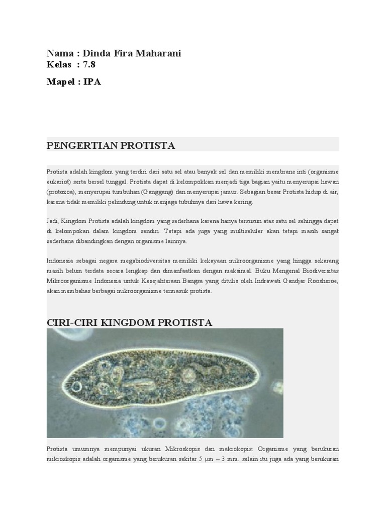 Kingdom Protista | PDF | Sains & Matematika