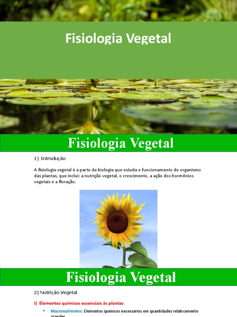 5 Fisiologia Vegetal | PDF | Auxinas | Nutrientes