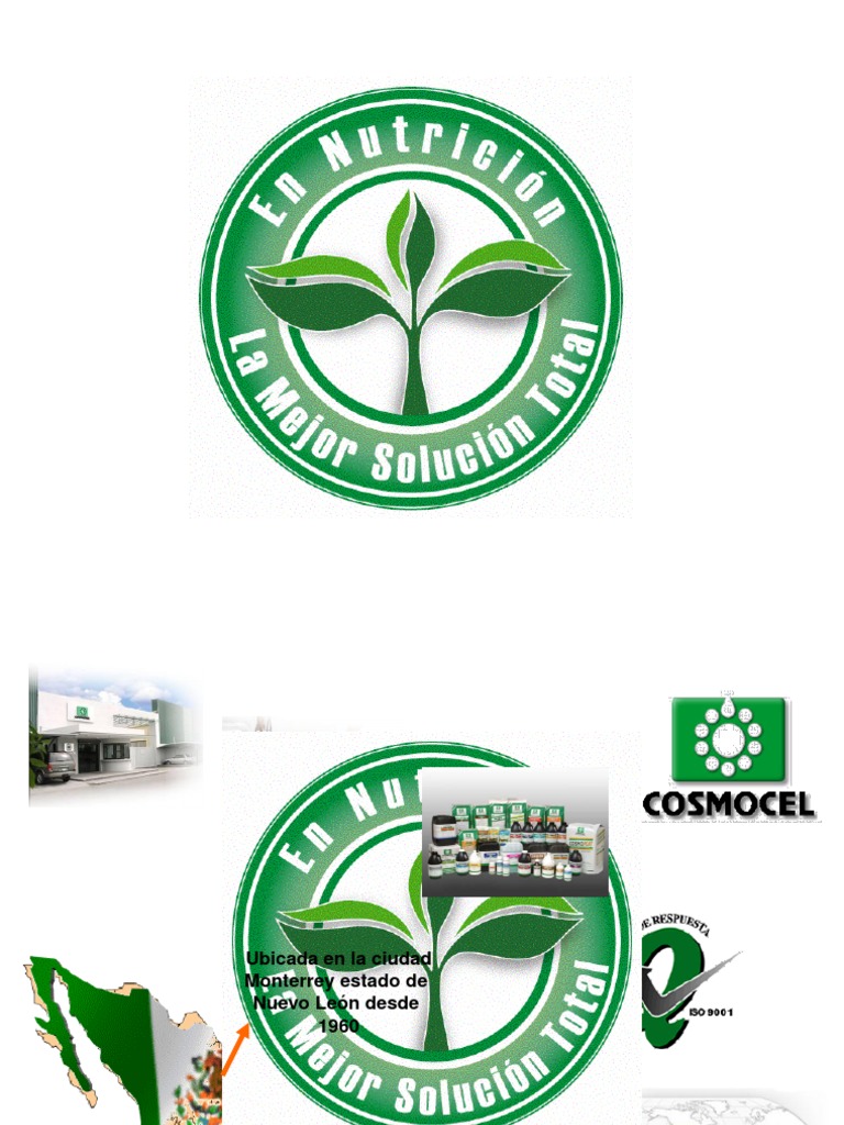 Presentación Agrocorp | PDF