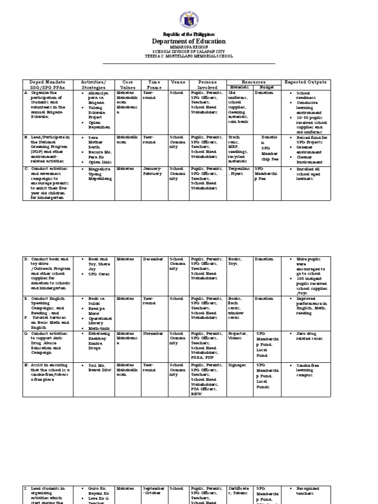 SPG Action Plan | PDF