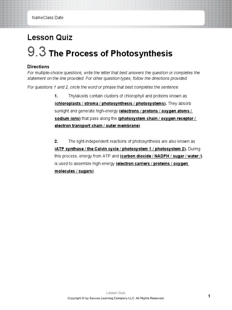 BIO CH09 L03 Quiz | PDF | Photosynthesis | Cellular Processes