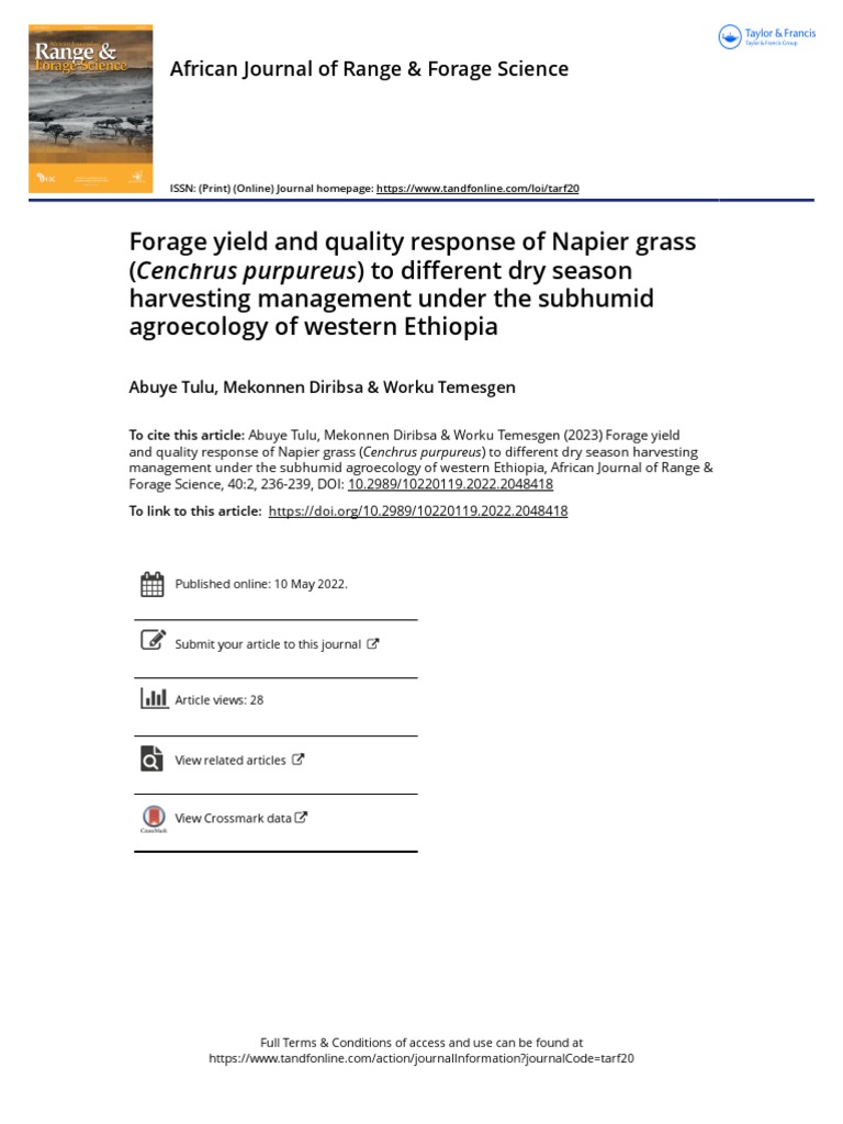 Forage Yield and Quality Response of Napier Grass Cenchrus Purpureus To ...
