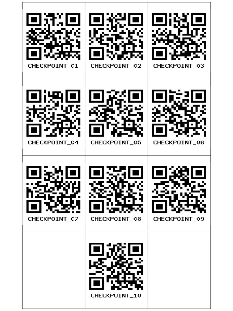 QR CODE PRINT - Checkpoint | PDF
