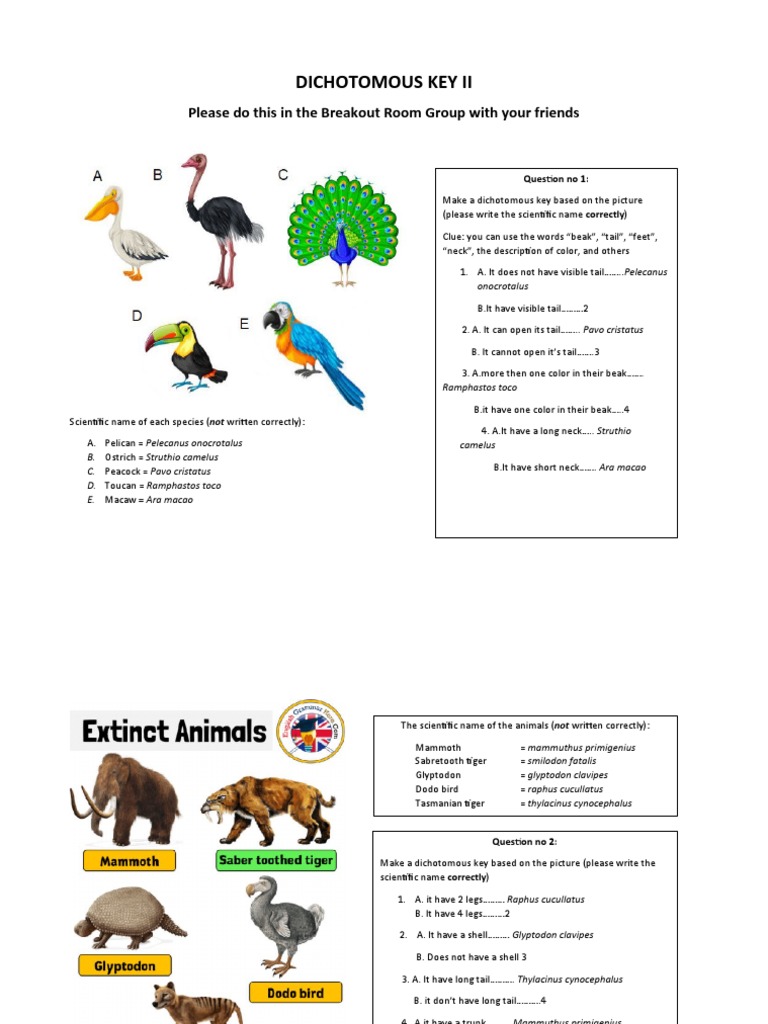 Dichotomous Key 2 | PDF