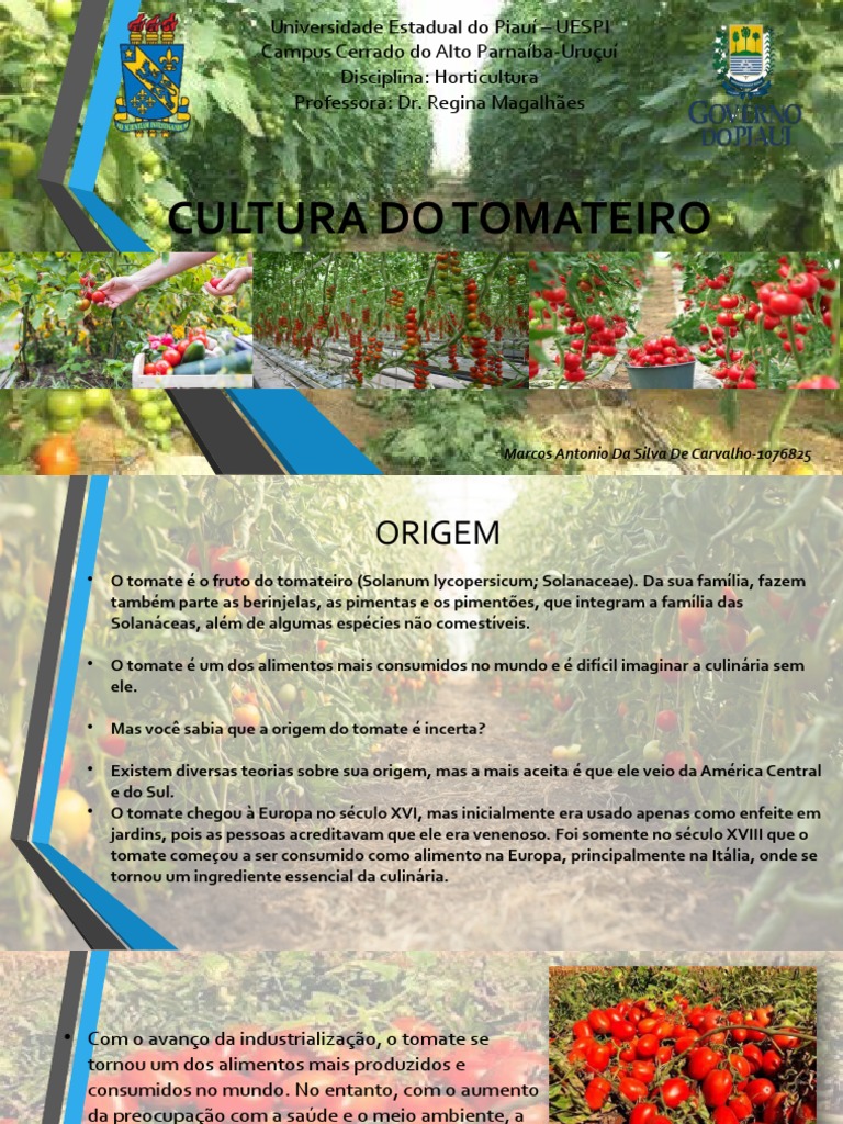 Cultivo De Tomate Pdf
