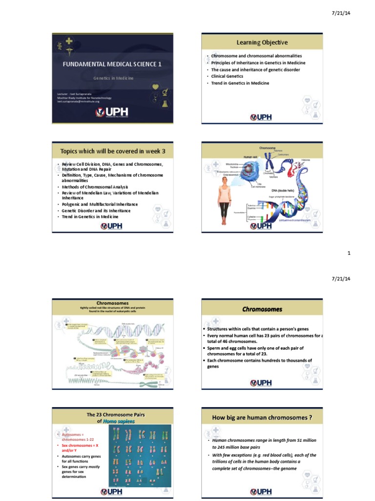 Week 3 - Lecture 1 | PDF Week 3 - Lecture 1 | PDF