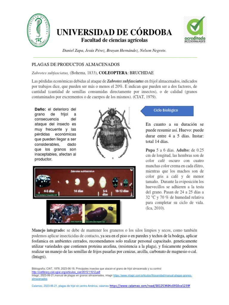 Zabrotes Subfasciatus | PDF