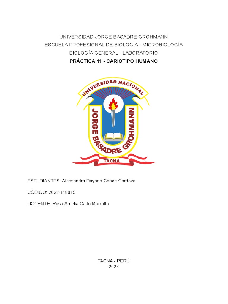 Universidad Jorge Basadre Grohmann | PDF