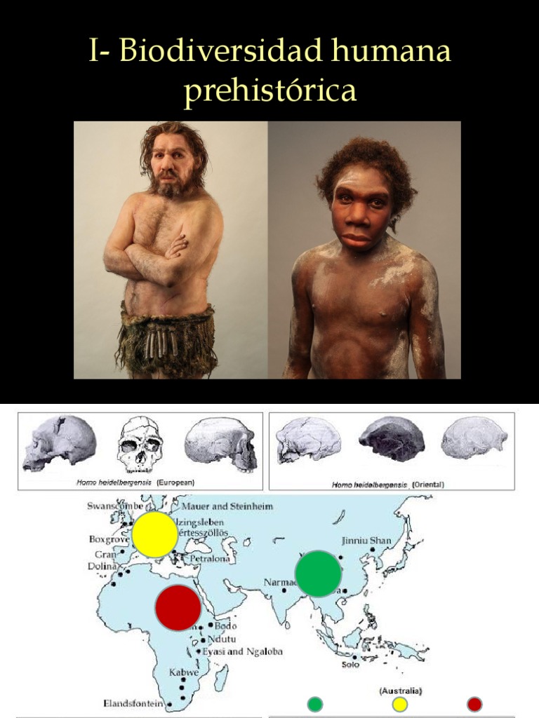 HTTPSWWW - Ege.fcen - Uba.arwp Contentuploads201405Clase Evo Humana UBA 2019b.pdf 2 | PDF