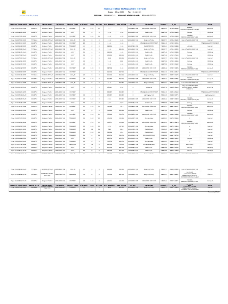 Momo Statement Report | PDF | Payments | Money