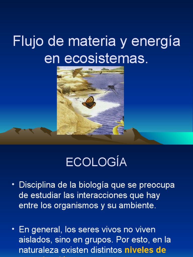 Flujo de Materia y Energía en Ecosistemas | PDF