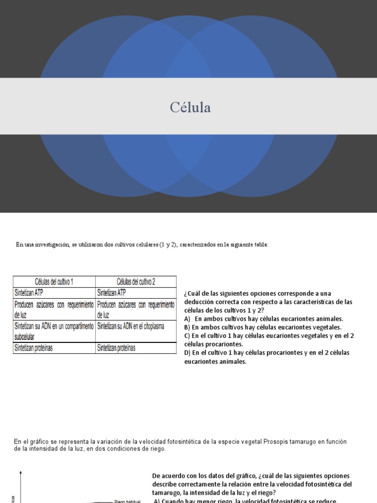 CELULA | PDF
