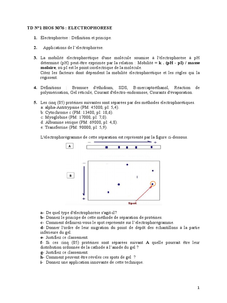 TD N°1 - Electrophorese | PDF