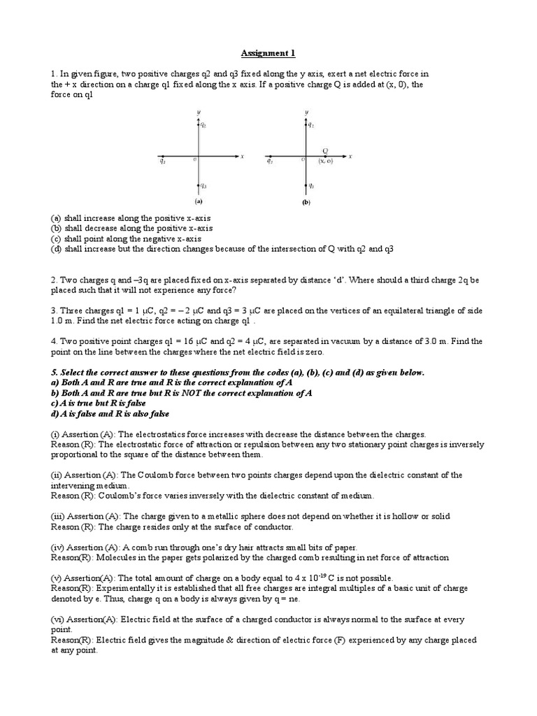 Assignment 1 | PDF | Electric Charge | Electric Field