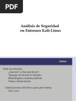 Guia de Registro de Viajero Importador y Pago Del Cis | PDF | Negocios | Finanzas y dinero