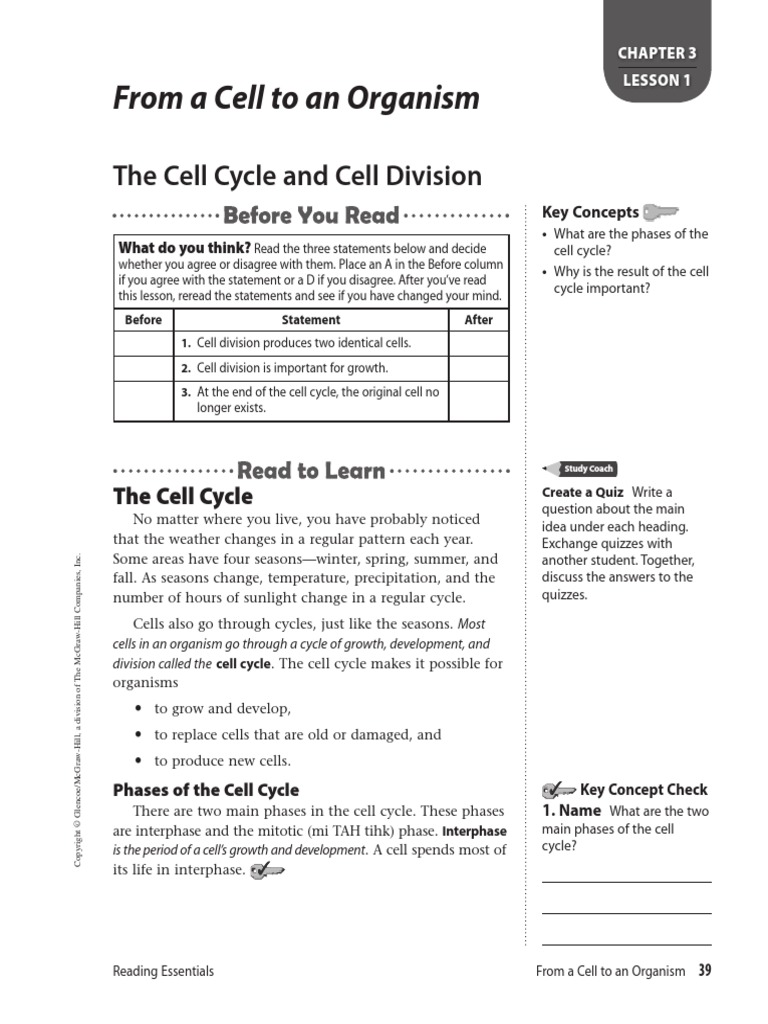 Chap 3-1 Cell Cycle | PDF