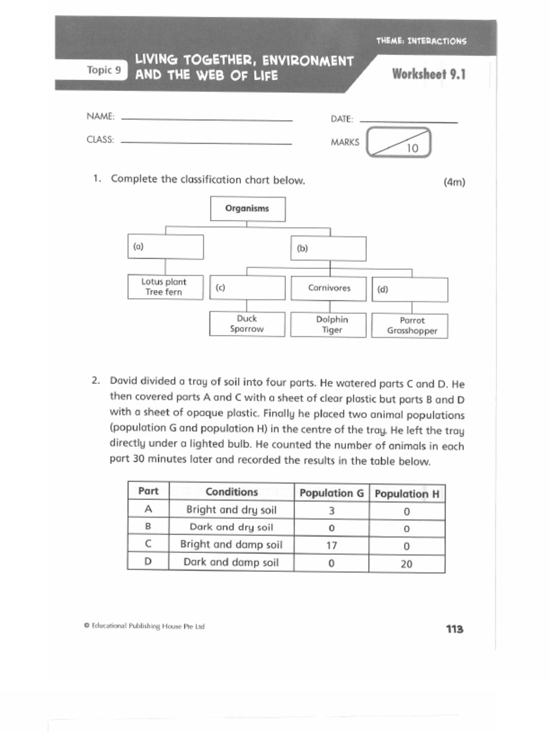 Janet Sims Science Upper Block Unit 9 To Revision Paper 9 | PDF
