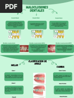 Relación Dental: Clases de Angle y Andrews | PDF | Anatomia dental | Diente