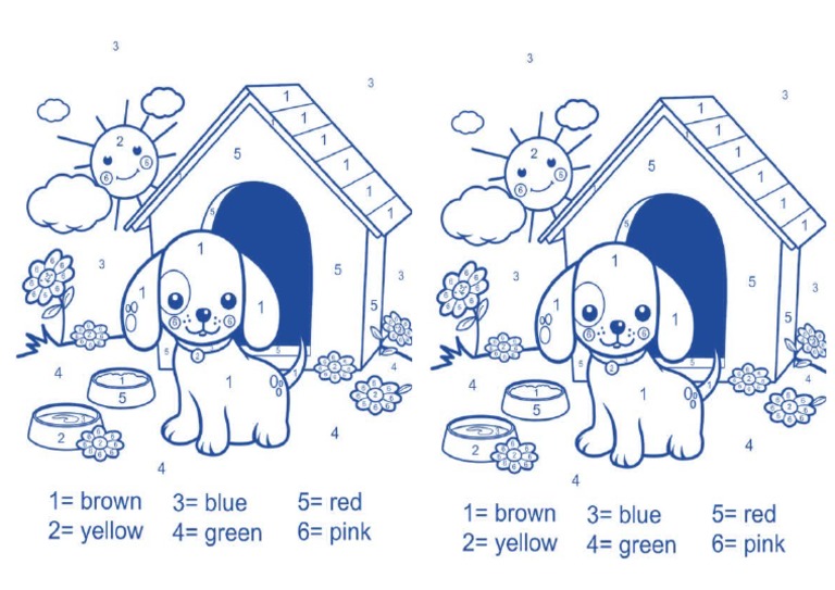 Dog Color by Code | PDF